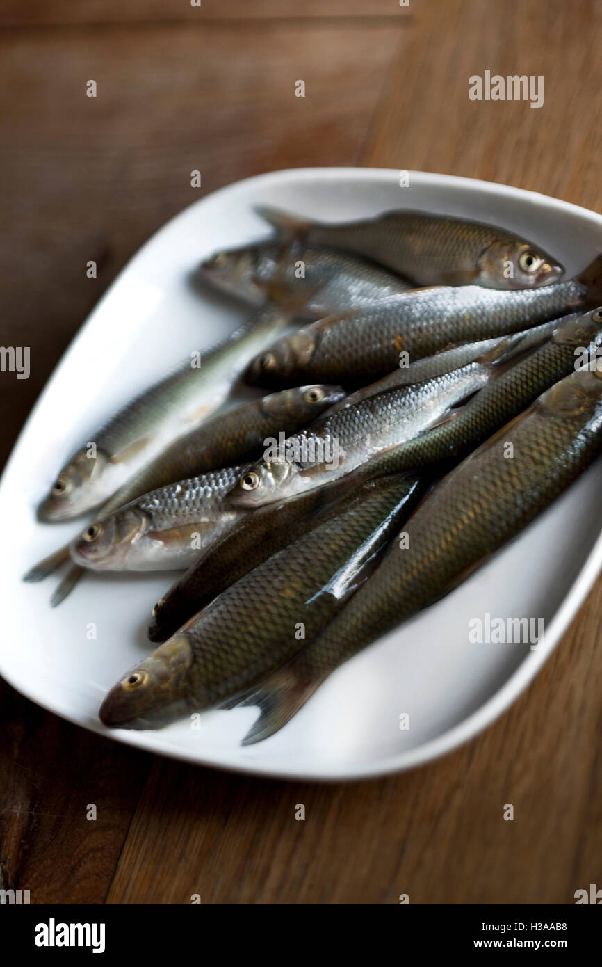 Lot of fresh fishes on a porcelain plate in a kitchen Stock Photo - Alamy