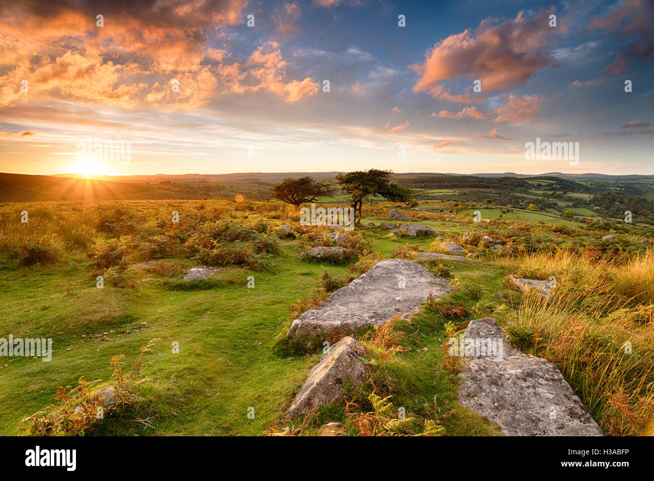 Devon moorland hi-res stock photography and images - Alamy