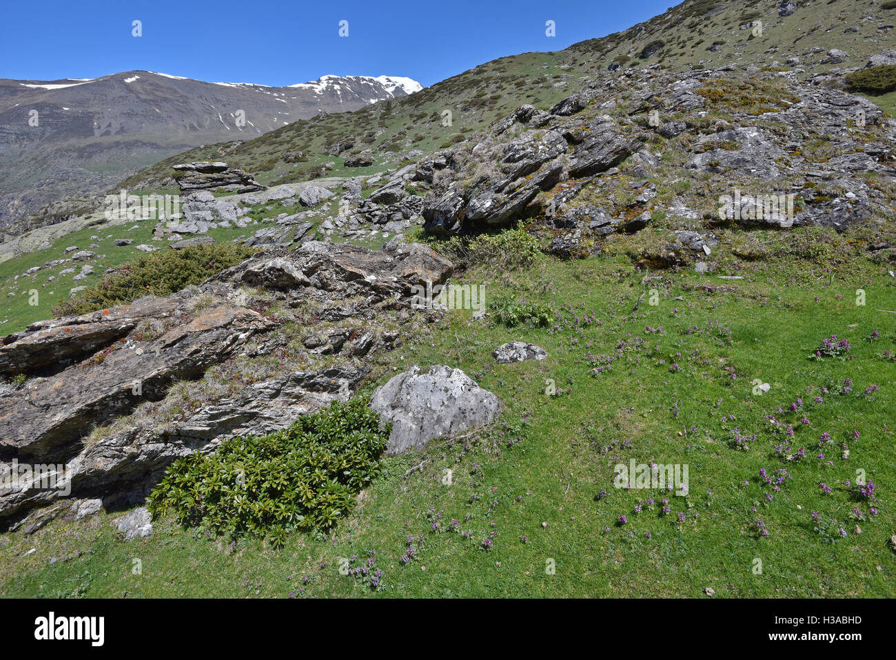 Maillet hi-res stock photography and images - Alamy