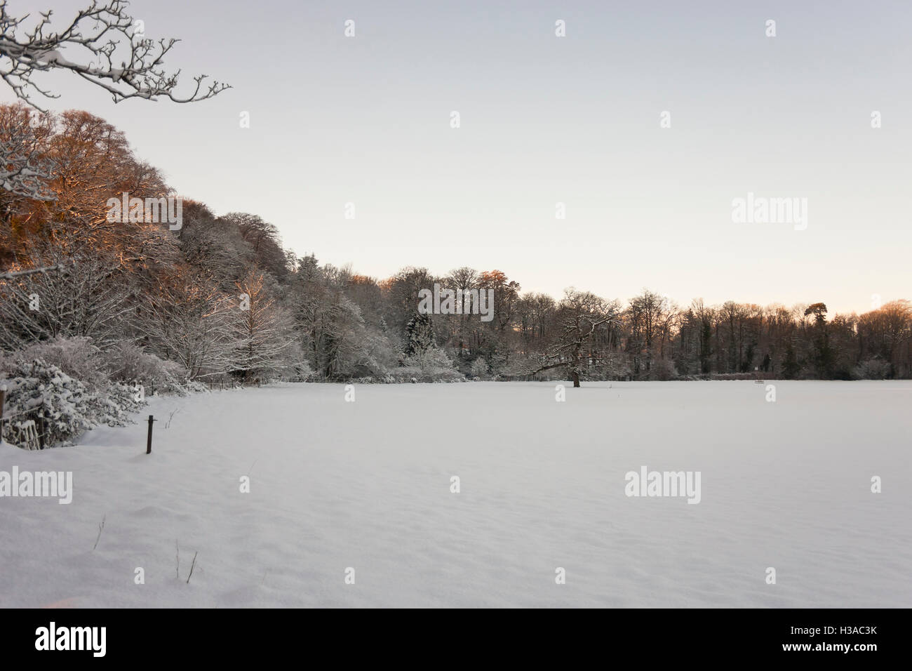 winter landscape snow with low winter sun on trees Stock Photo - Alamy