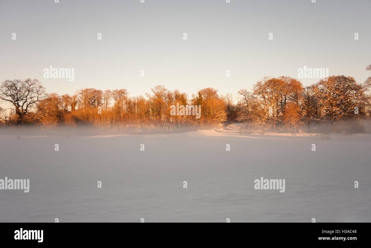 winter landscape snow and freezing mist with low winter sun on trees ...