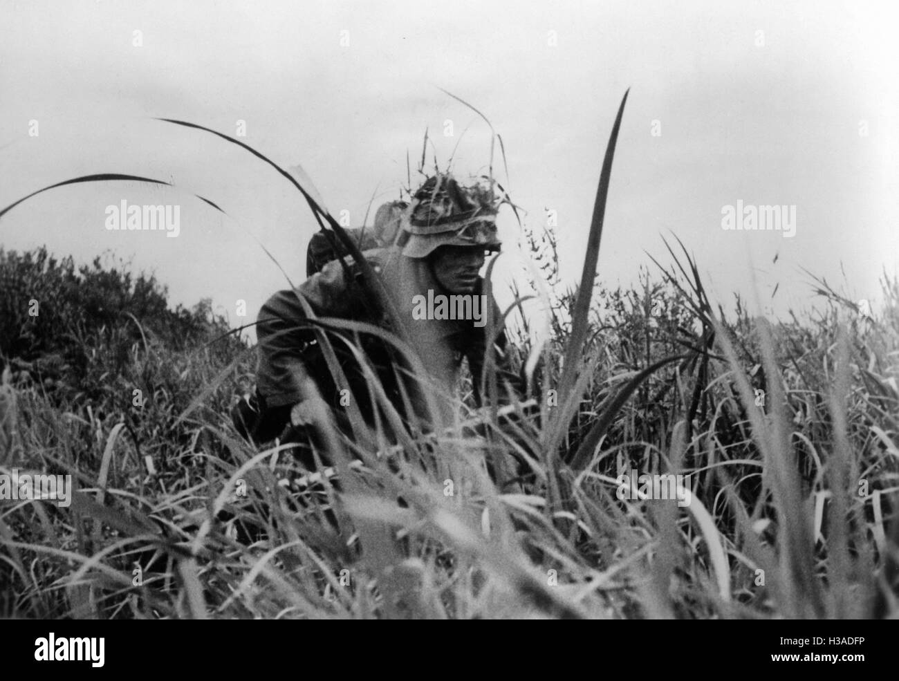 German infantryman on the Eastern Front, 1941 Stock Photo - Alamy