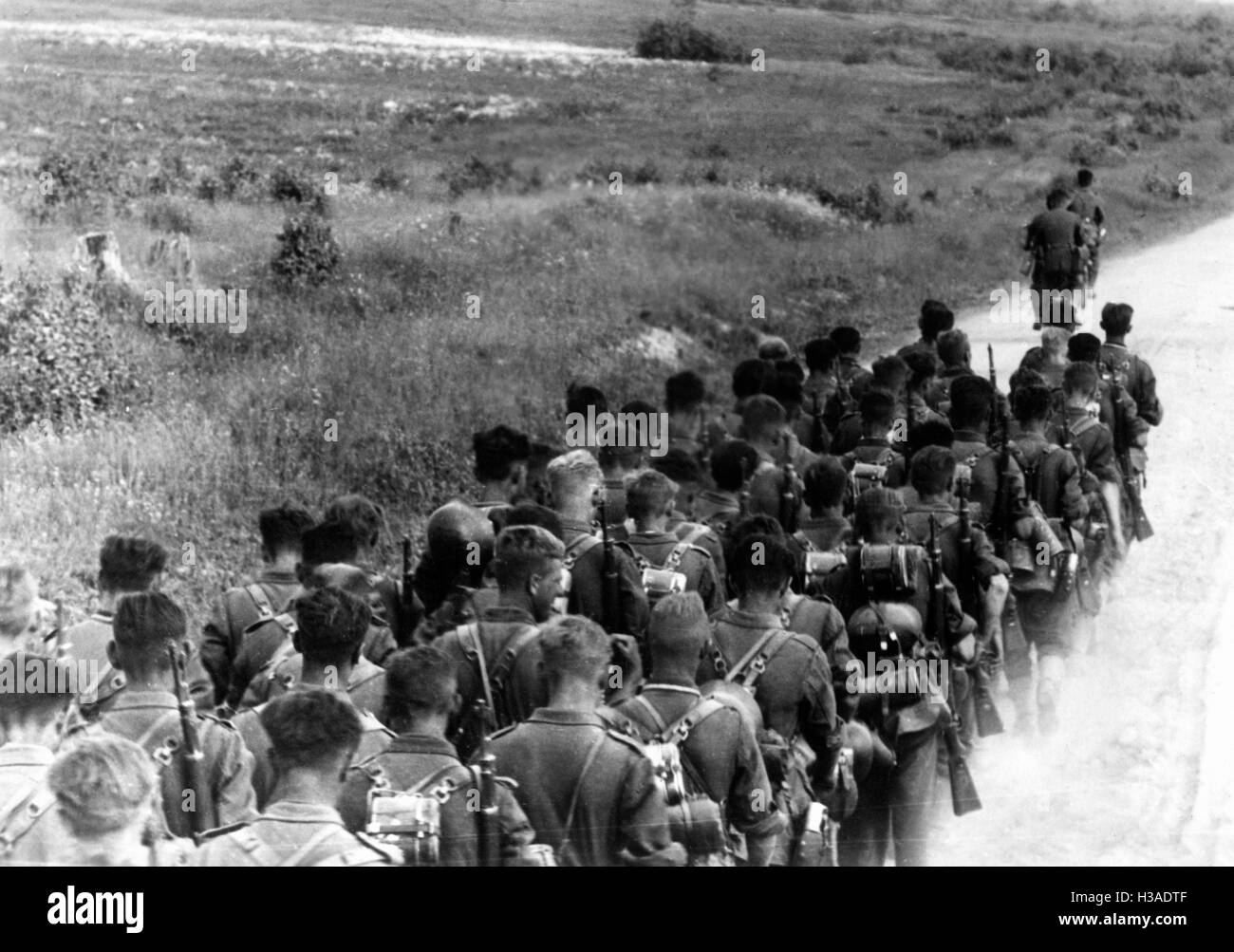 German infantry on the Eastern Front, 1941 Stock Photo - Alamy