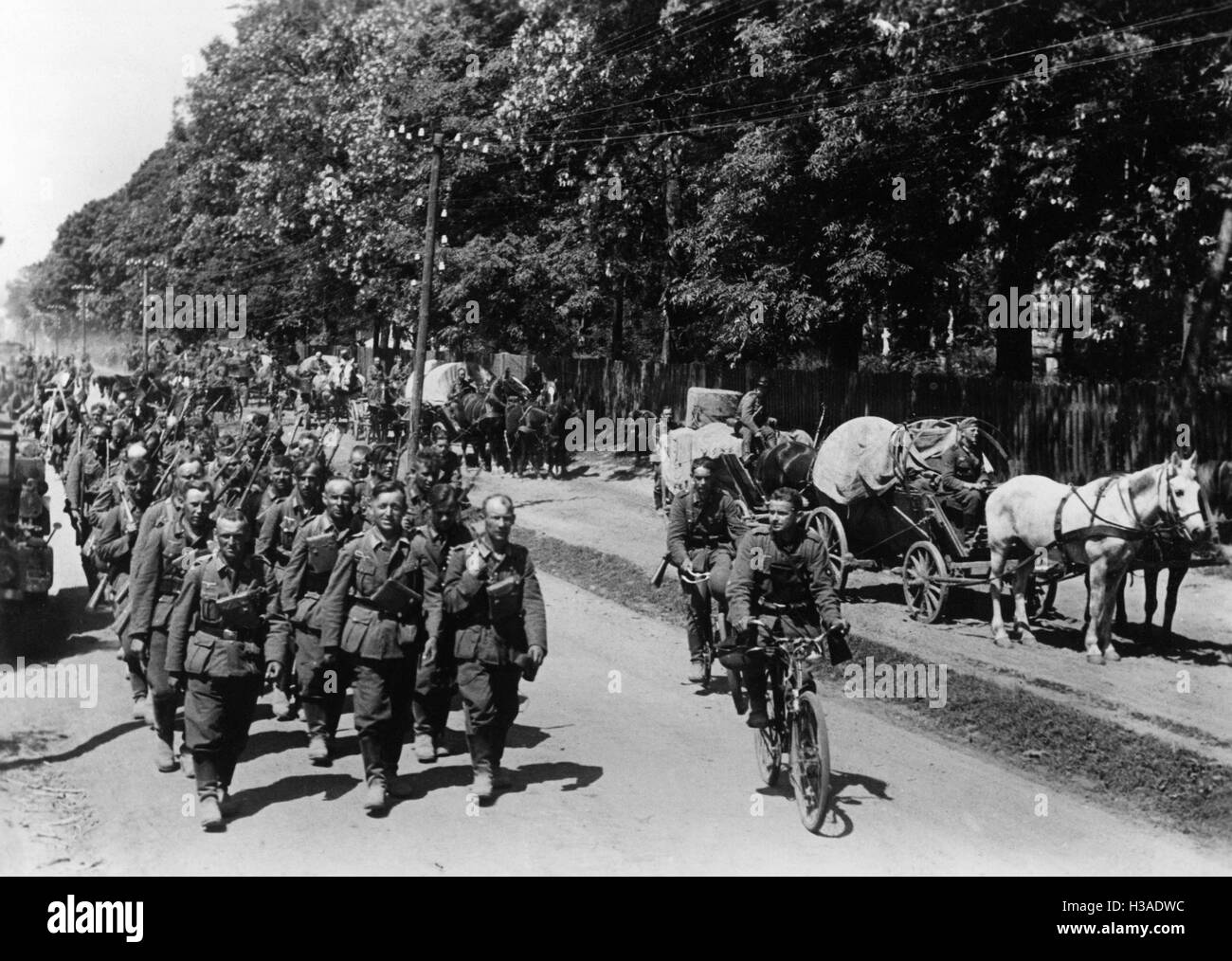 German infantry marching on the Eastern Front, 1941 Stock Photo - Alamy