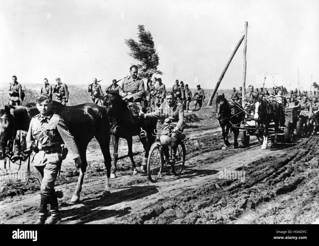 German troops advancing on the Eastern Front, 1941 Stock Photo - Alamy
