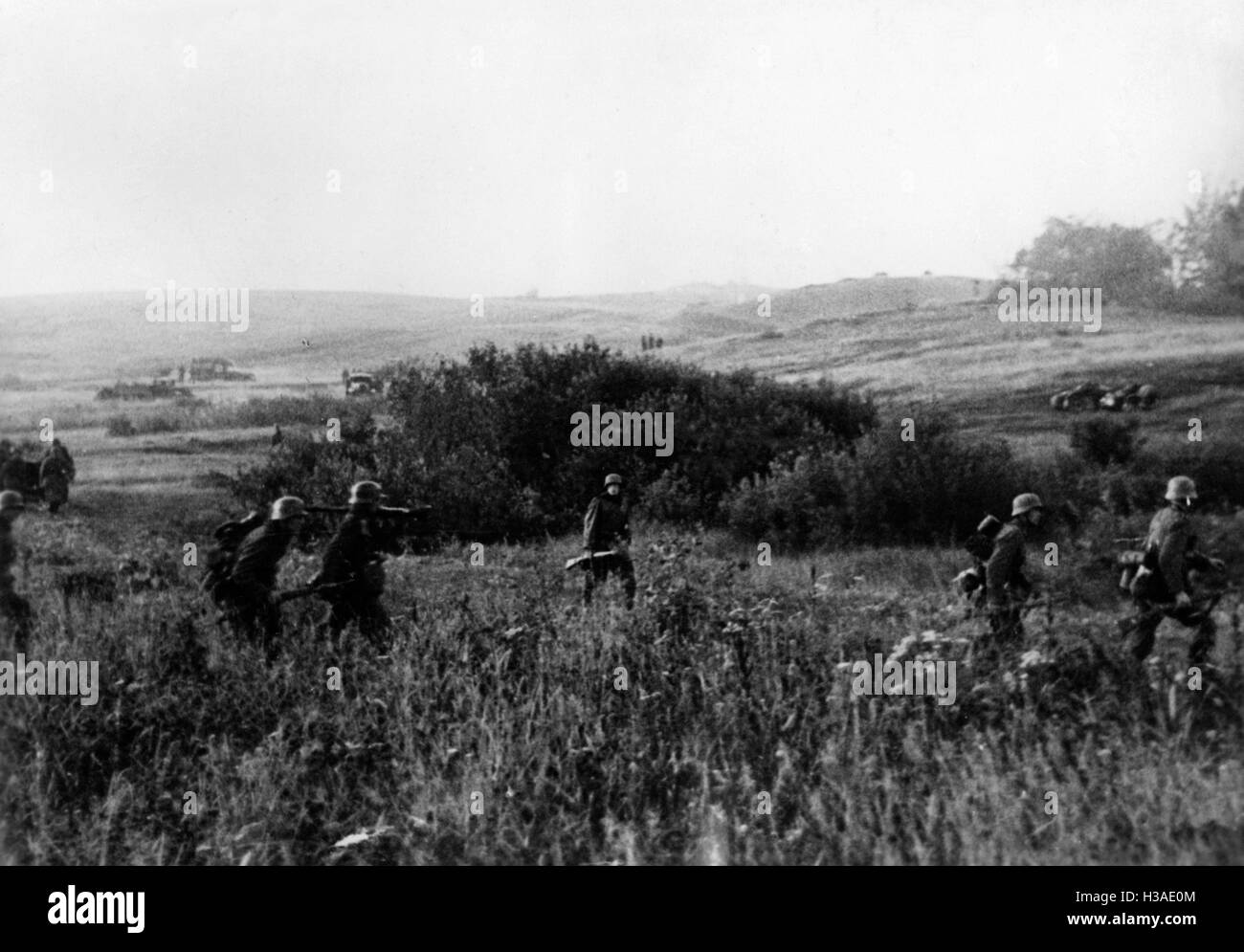 German infantry forms for an attack on the Eastern Front, 1941 Stock ...