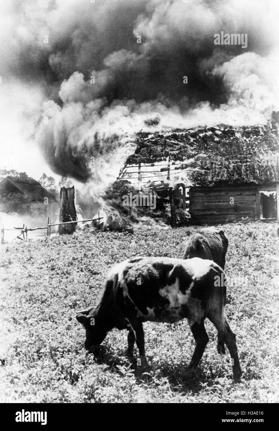 Burning village on the Eastern Front, 1941 Stock Photo - Alamy