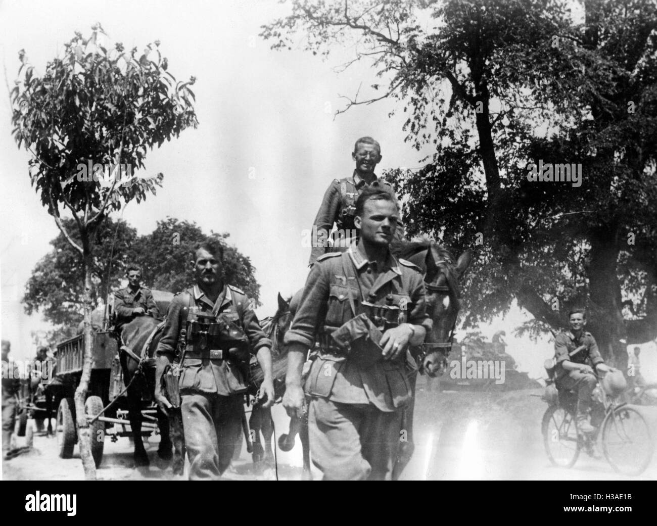 Advance of German troops on the Eastern Front, 1941 Stock Photo - Alamy