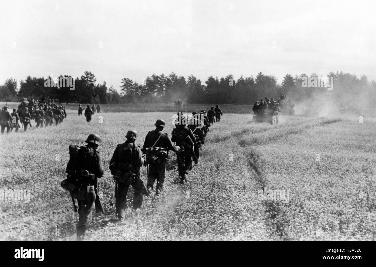 German tanks on the russian front hi-res stock photography and images ...