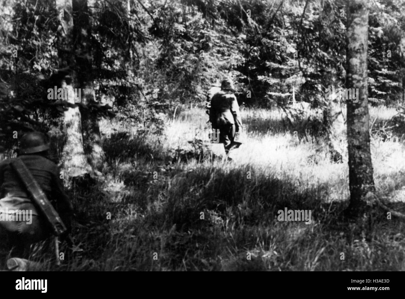 German infantry on the Eastern Front, 1941 Stock Photo - Alamy