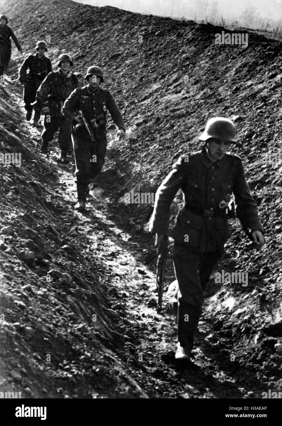German soldiers in the Courland bridgehead, 1944 Stock Photo - Alamy