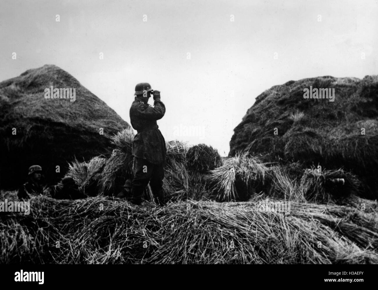 Flak position of the Luftwaffe in the Memel bridgehead, 1944 Stock ...