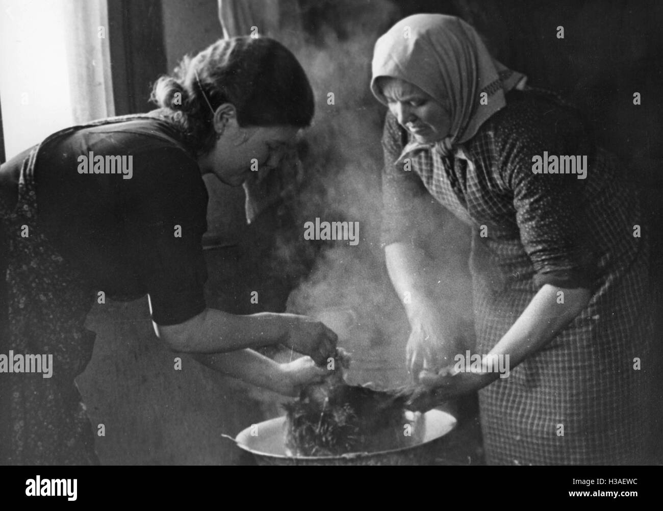 Plucking chickens hi-res stock photography and images - Alamy