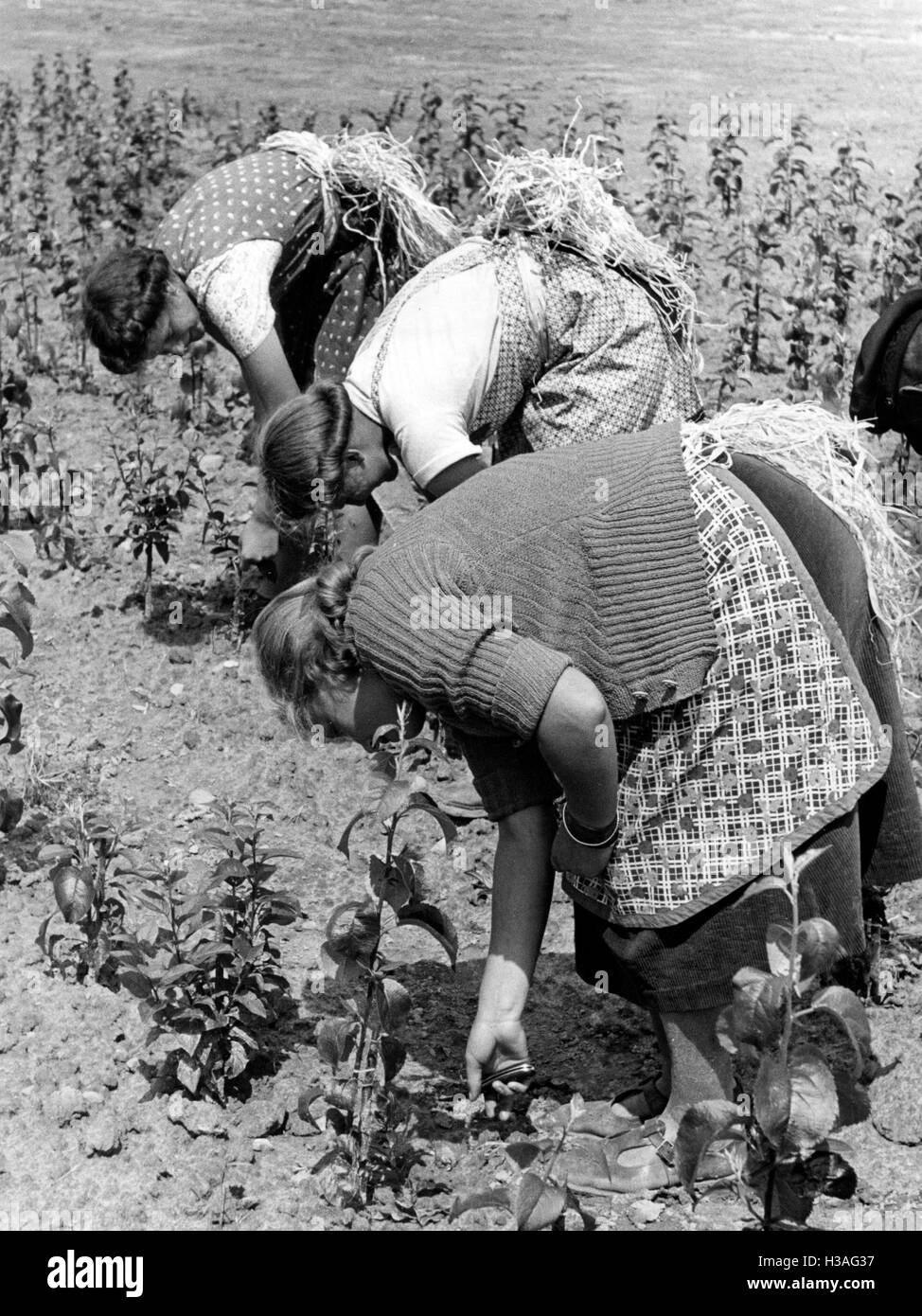 Work in a Black and White Stock Photos & Images - Alamy