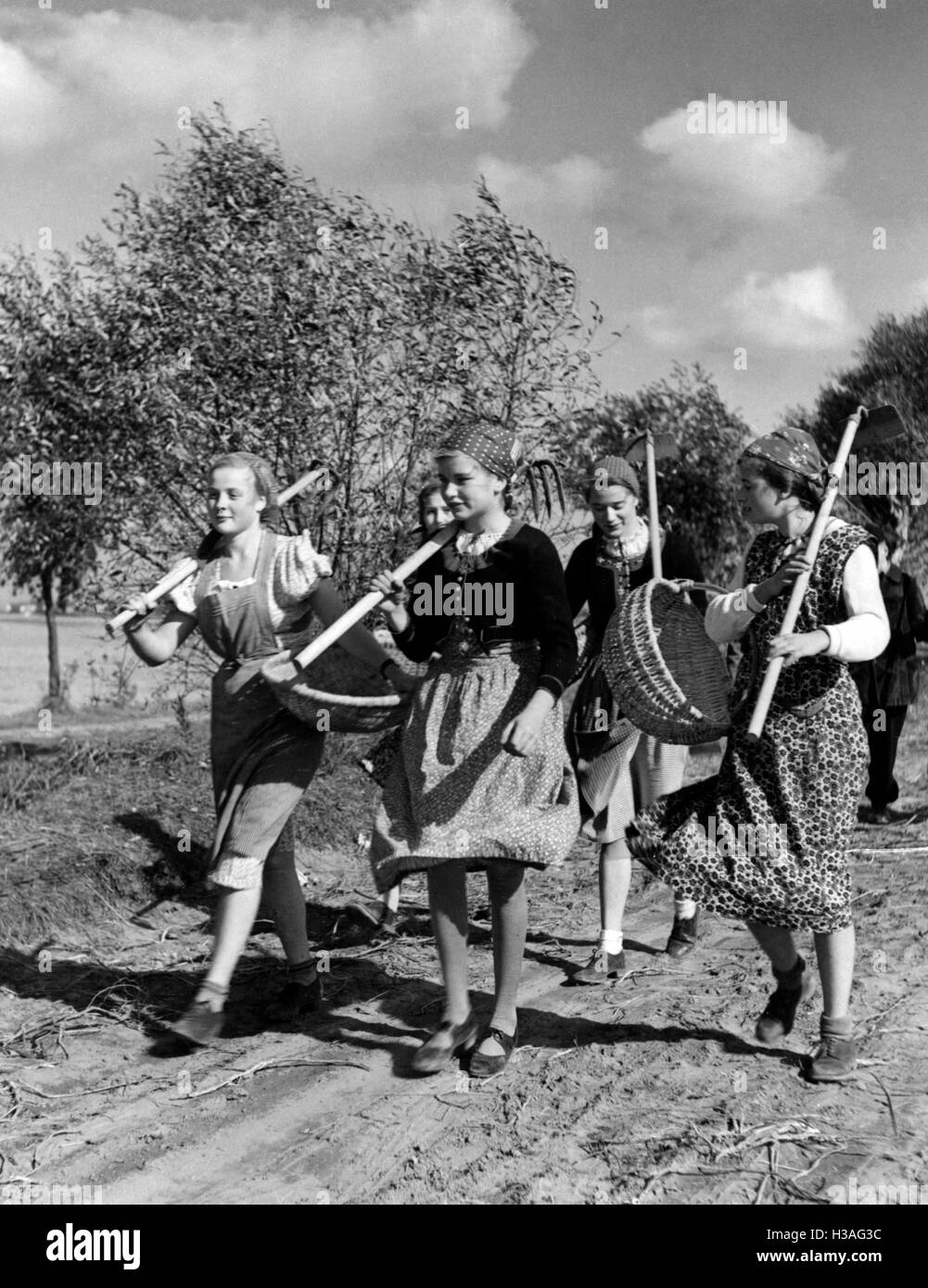 The potato field Black and White Stock Photos & Images - Alamy