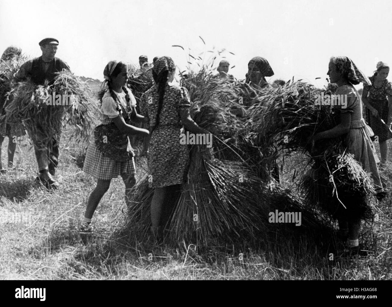 Field assistance Black and White Stock Photos & Images - Alamy
