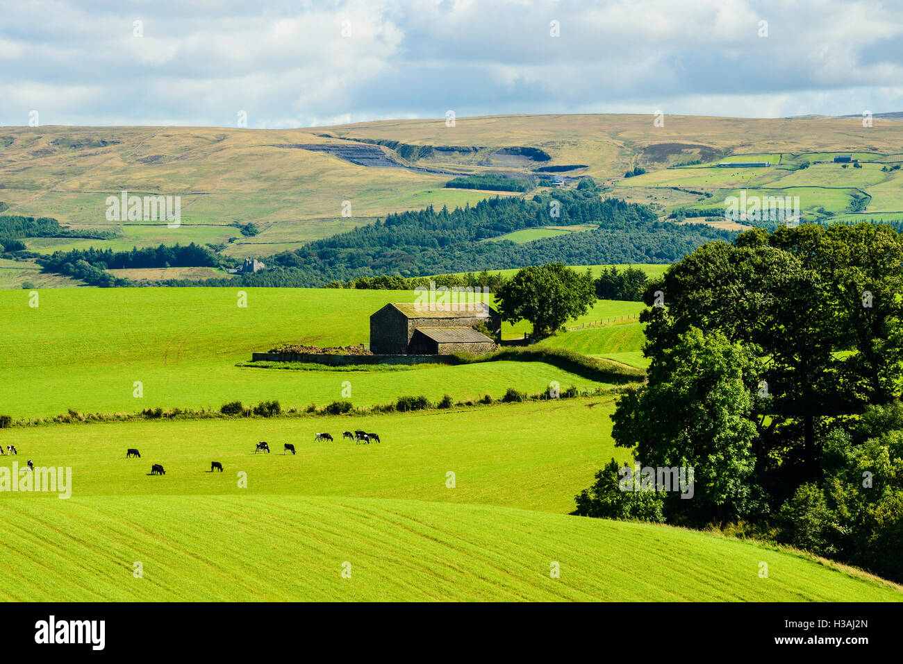 Fields and barn looking towards Caton Moor in North Lancashire England ...