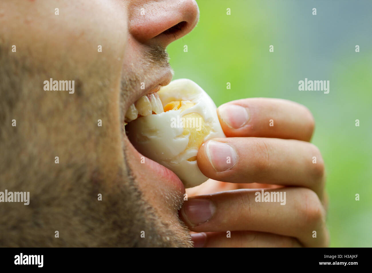 People are eating eggs and cereals with their dirty hands in the nature ...