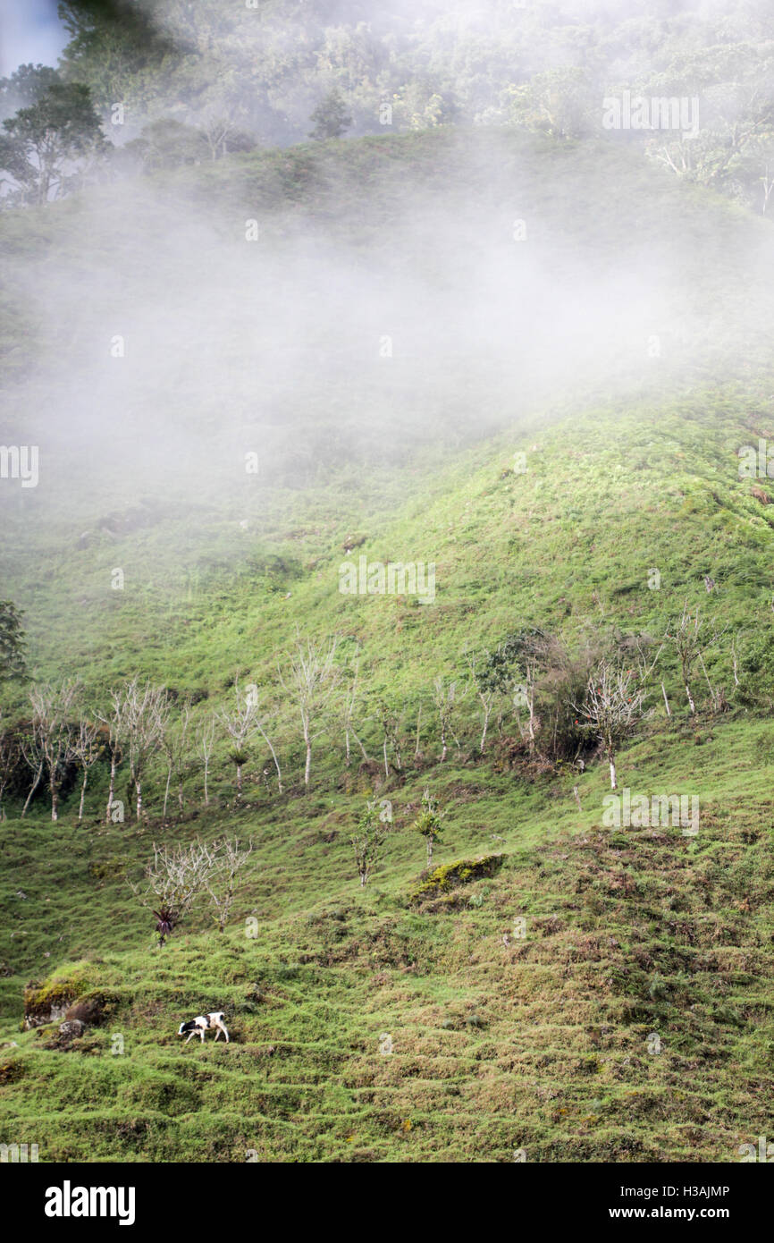 Mountains covered and hidden by fog in Costa RIca, Central America ...