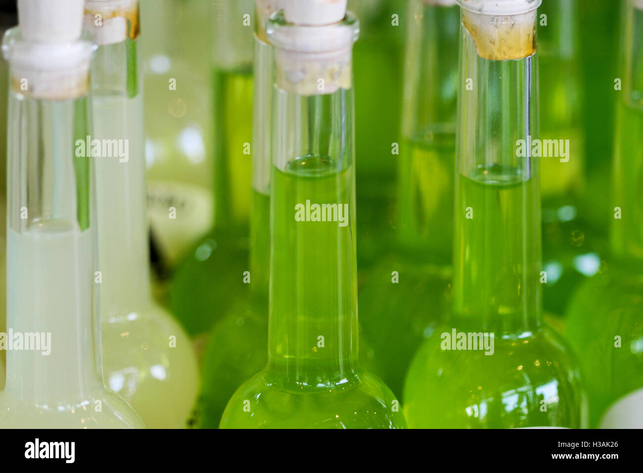 Green liquid closed in bottles, lab equipment with chemical green ...
