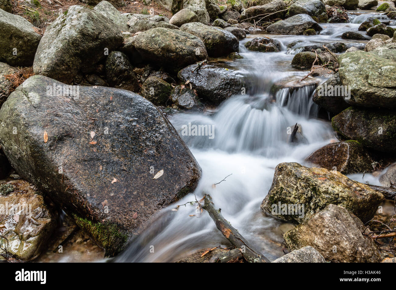 Water stream flowing in the mountain between rocks. Navacerrada, Madrid ...