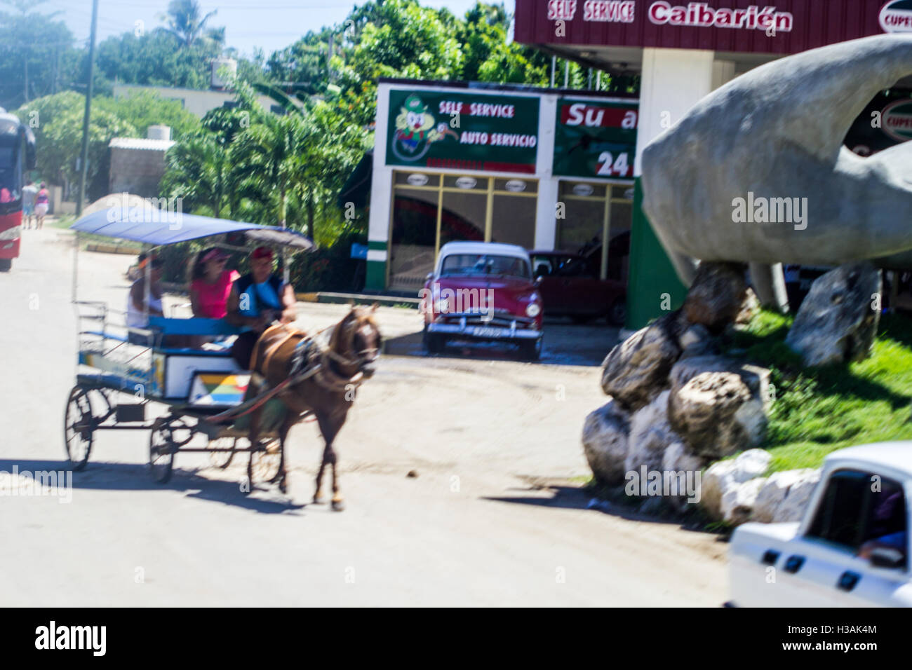 Common riding season hi-res stock photography and images - Alamy