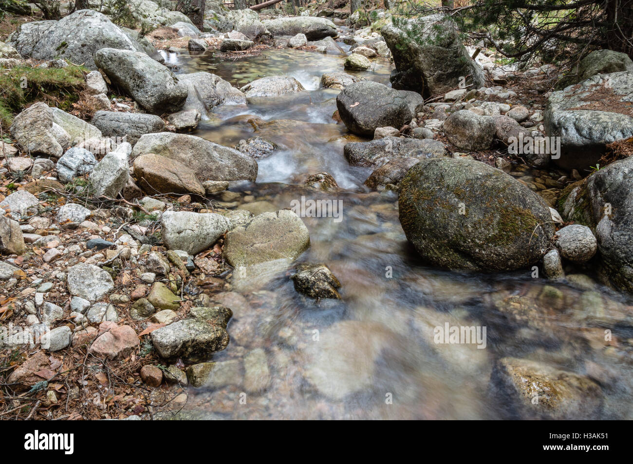 Water stream flowing in the mountain between rocks. Navacerrada, Madrid ...
