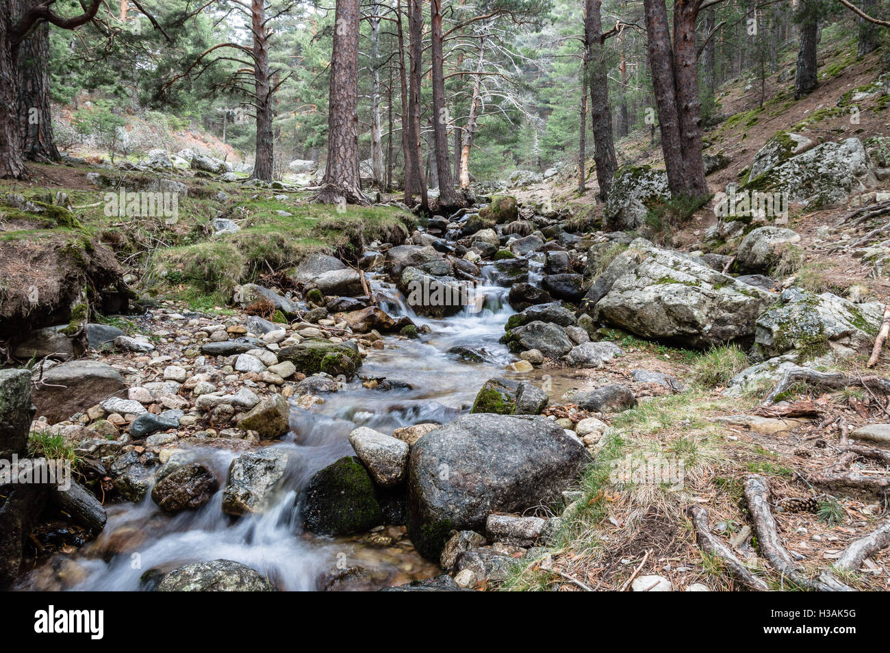 Landscape stream flowing between rocks hi-res stock photography and ...
