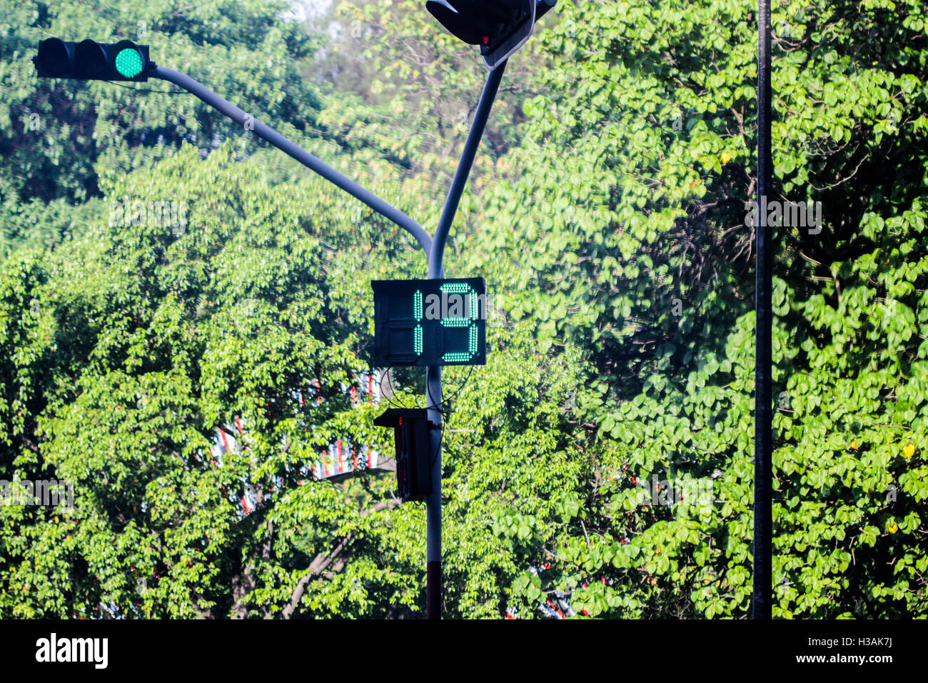 Led street sign for pedestrians with count down timer, green light in ...