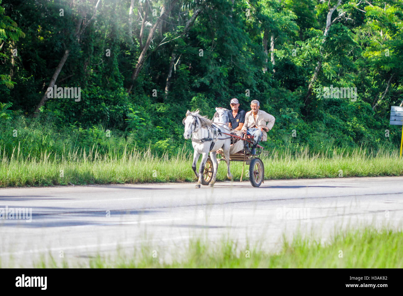 Horse riding carriage with a men on it, used by local cuban people to ...