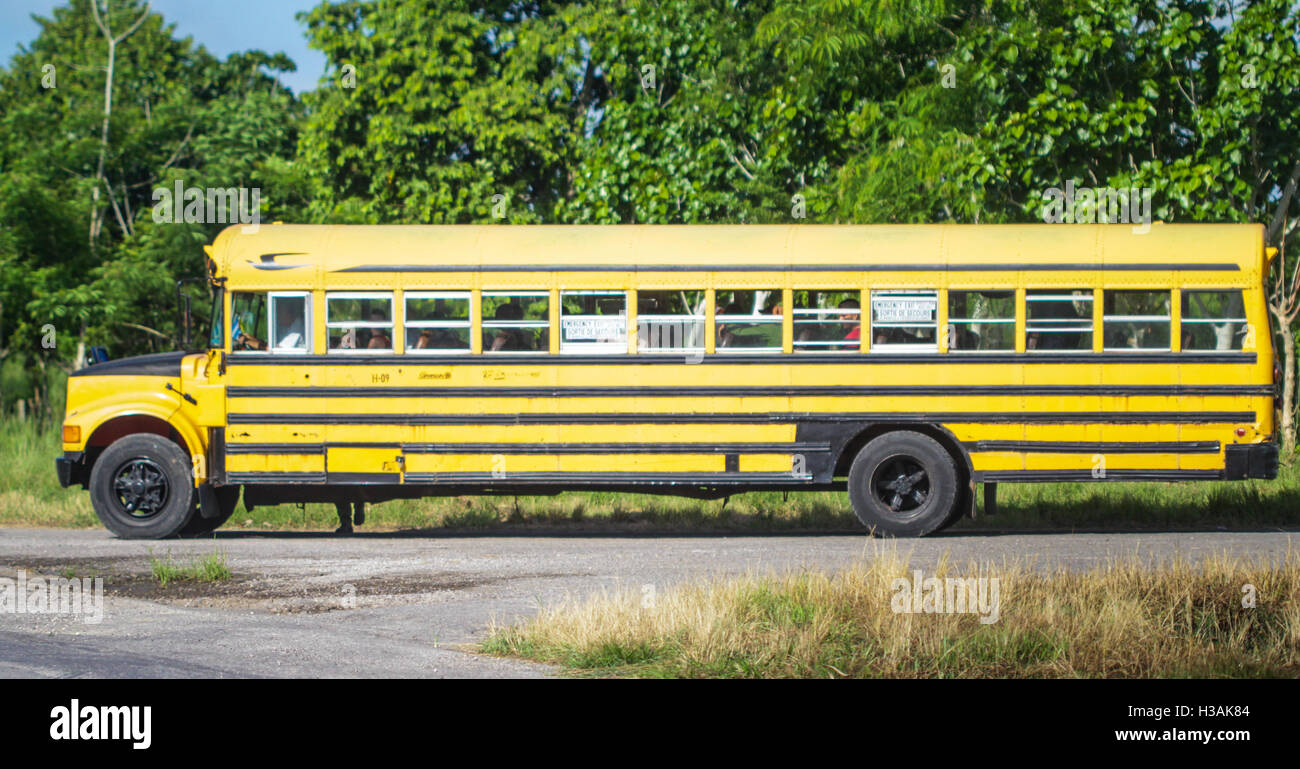 Old yellow classic school bus Stock Photo - Alamy