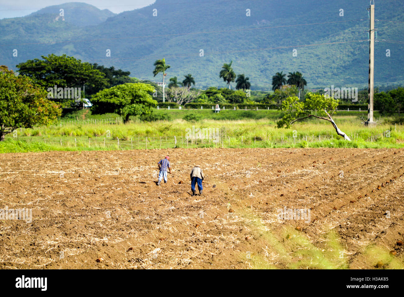 Fieldworkers hi-res stock photography and images - Alamy