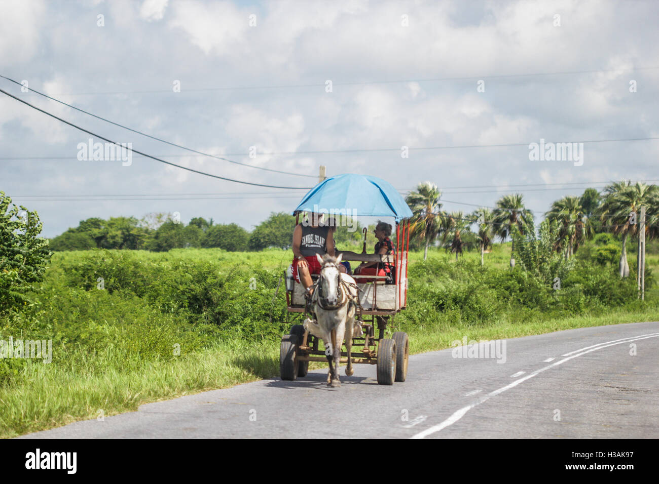 People riding in oxcart hi-res stock photography and images - Alamy