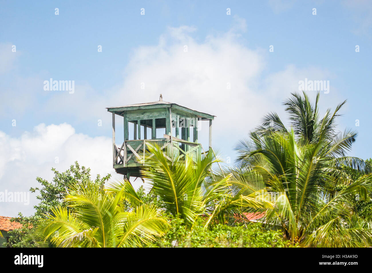 Empty green fields in tropical hi-res stock photography and images - Alamy