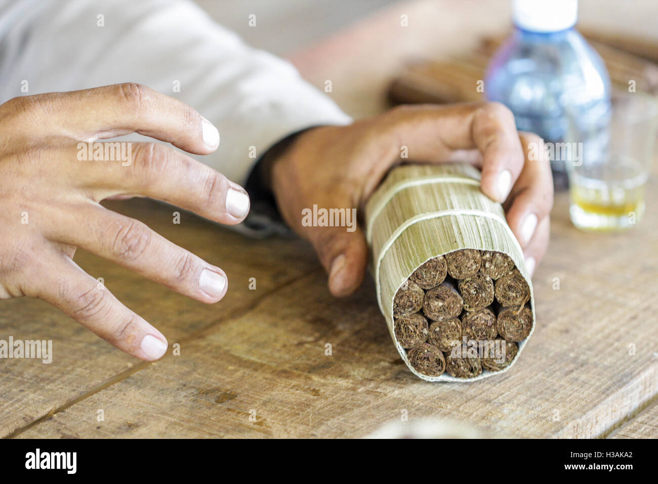 Tobacco cuban cigar, making and guiding Stock Photo - Alamy