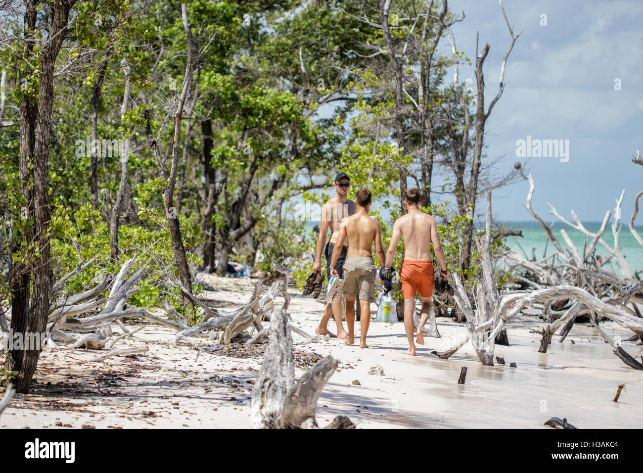 People are walking slowly and resting on the beach and exploring the ...