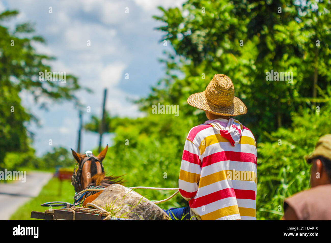 Havana local man with carriage hi-res stock photography and images - Alamy