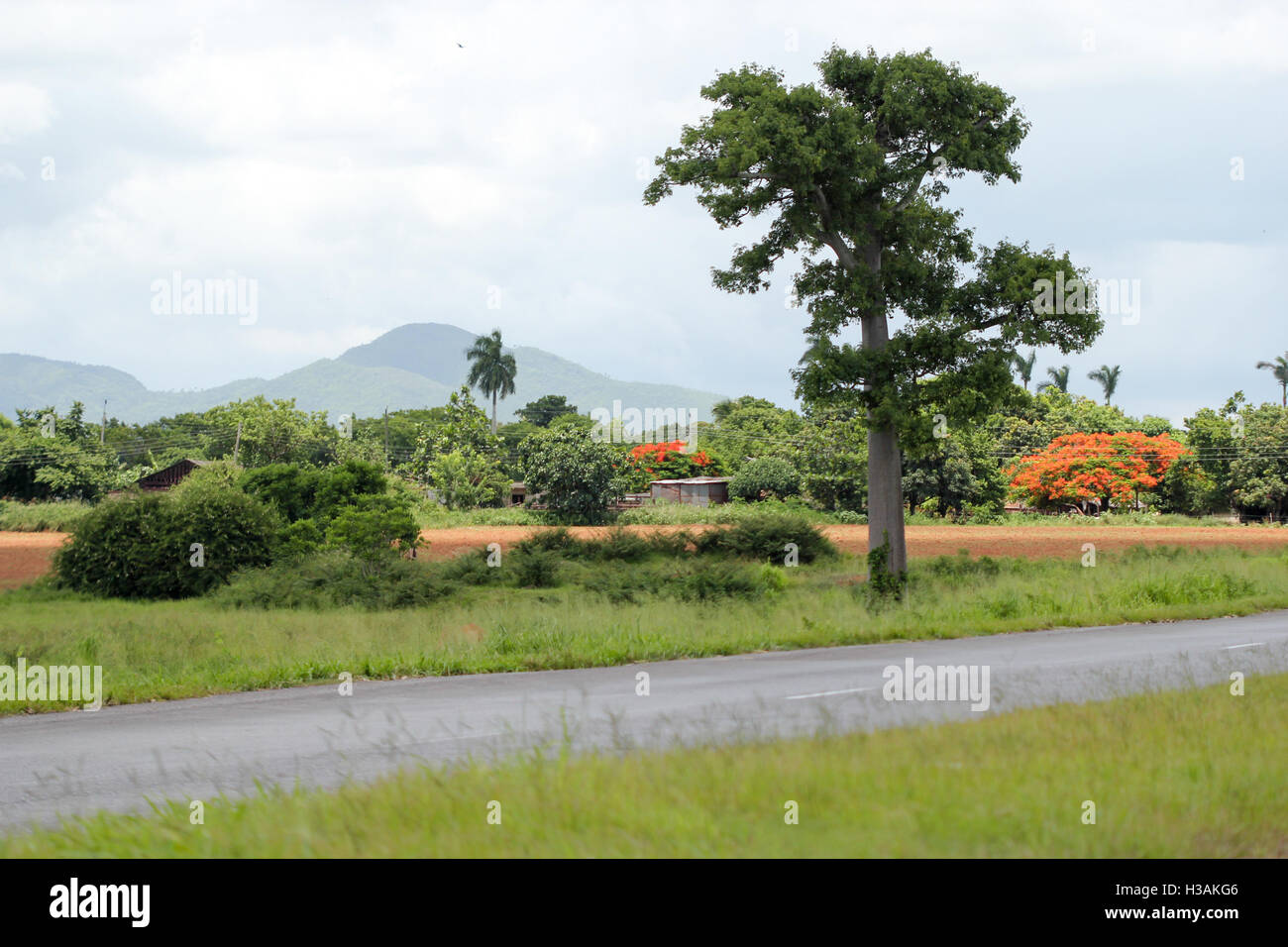 Empty green fields in tropical hi-res stock photography and images - Alamy