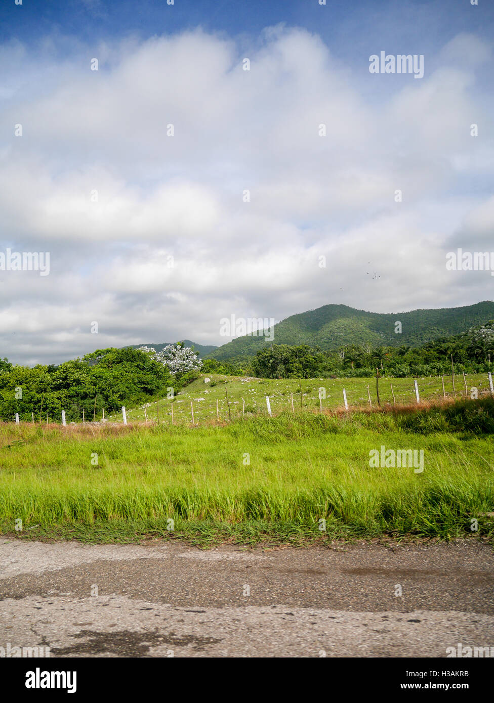 Empty green fields in tropical hi-res stock photography and images - Alamy