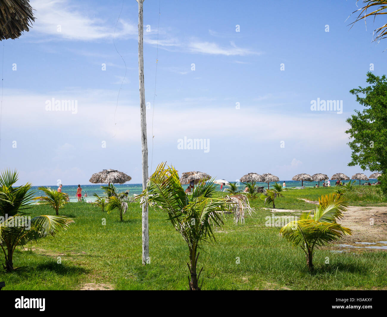 Empty but green fields in tropical countries like Cuba next to the ...