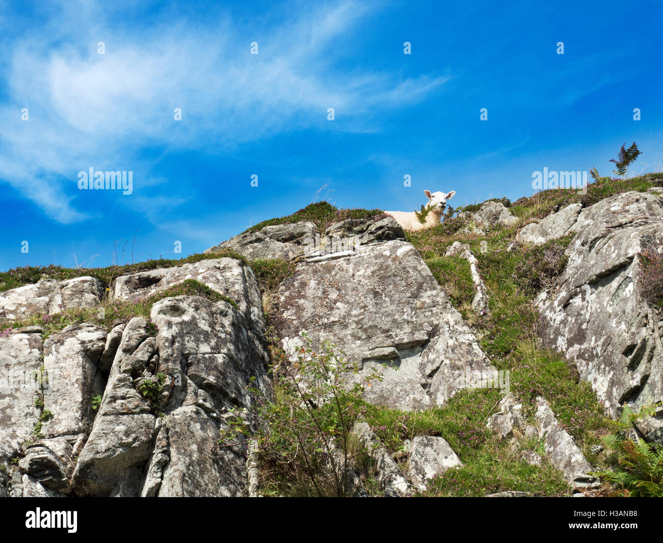 On the clifftop hi-res stock photography and images - Alamy