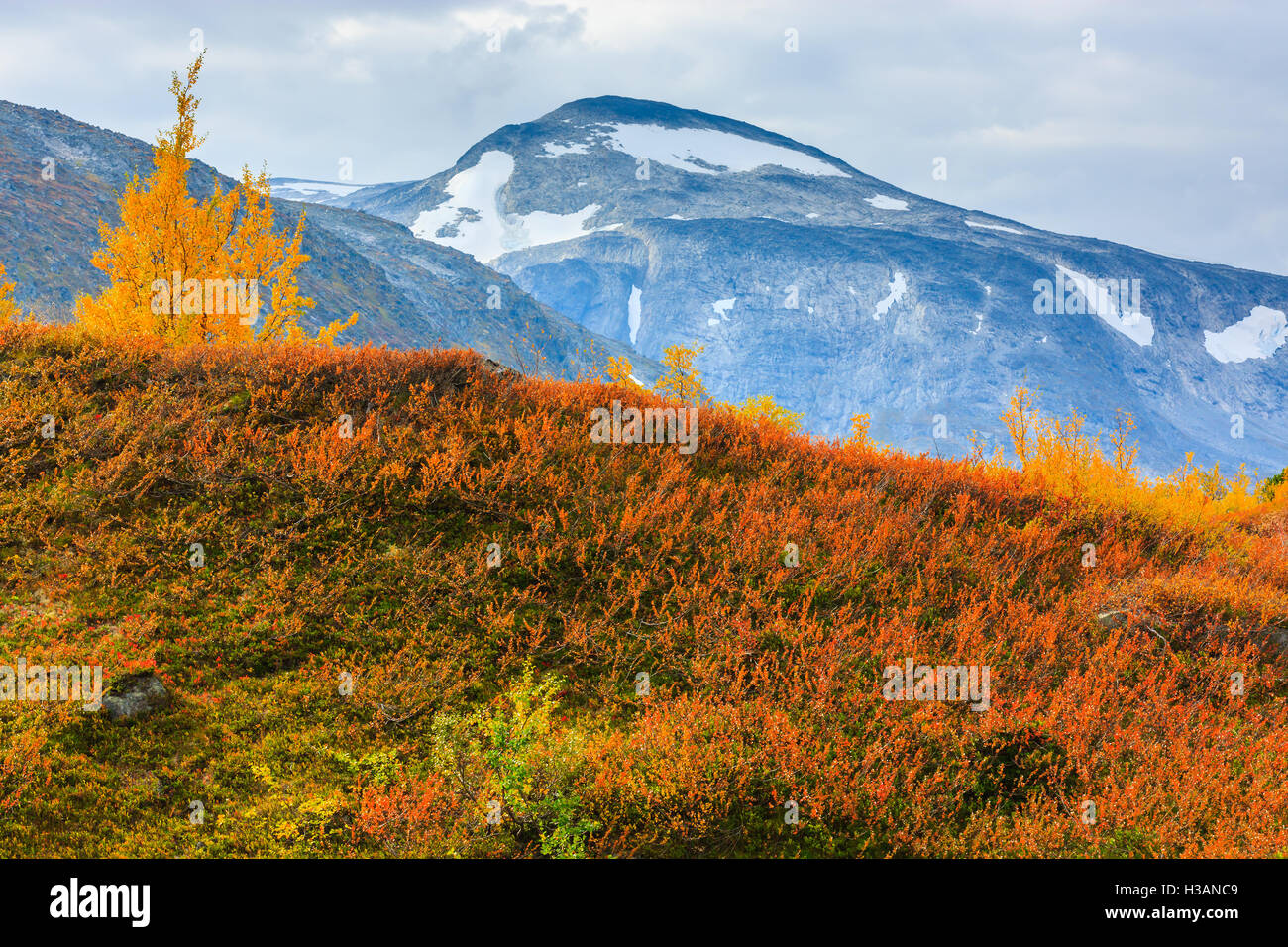 Gamle Strynefjellsvegen the old historic road between Stryn and ...