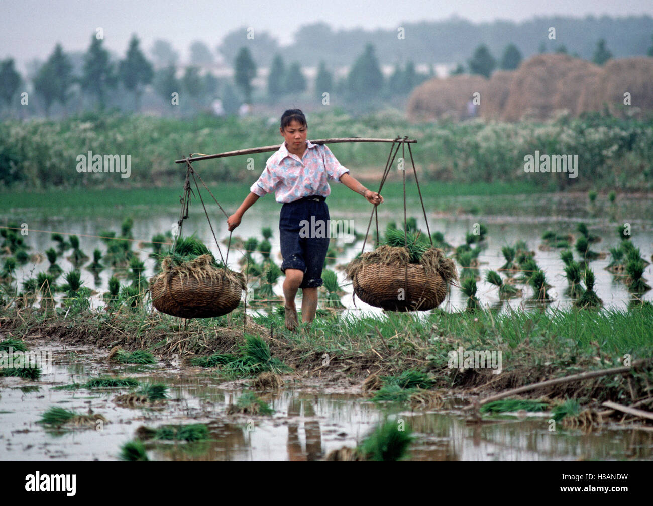 Woven baskets hi-res stock photography and images - Alamy