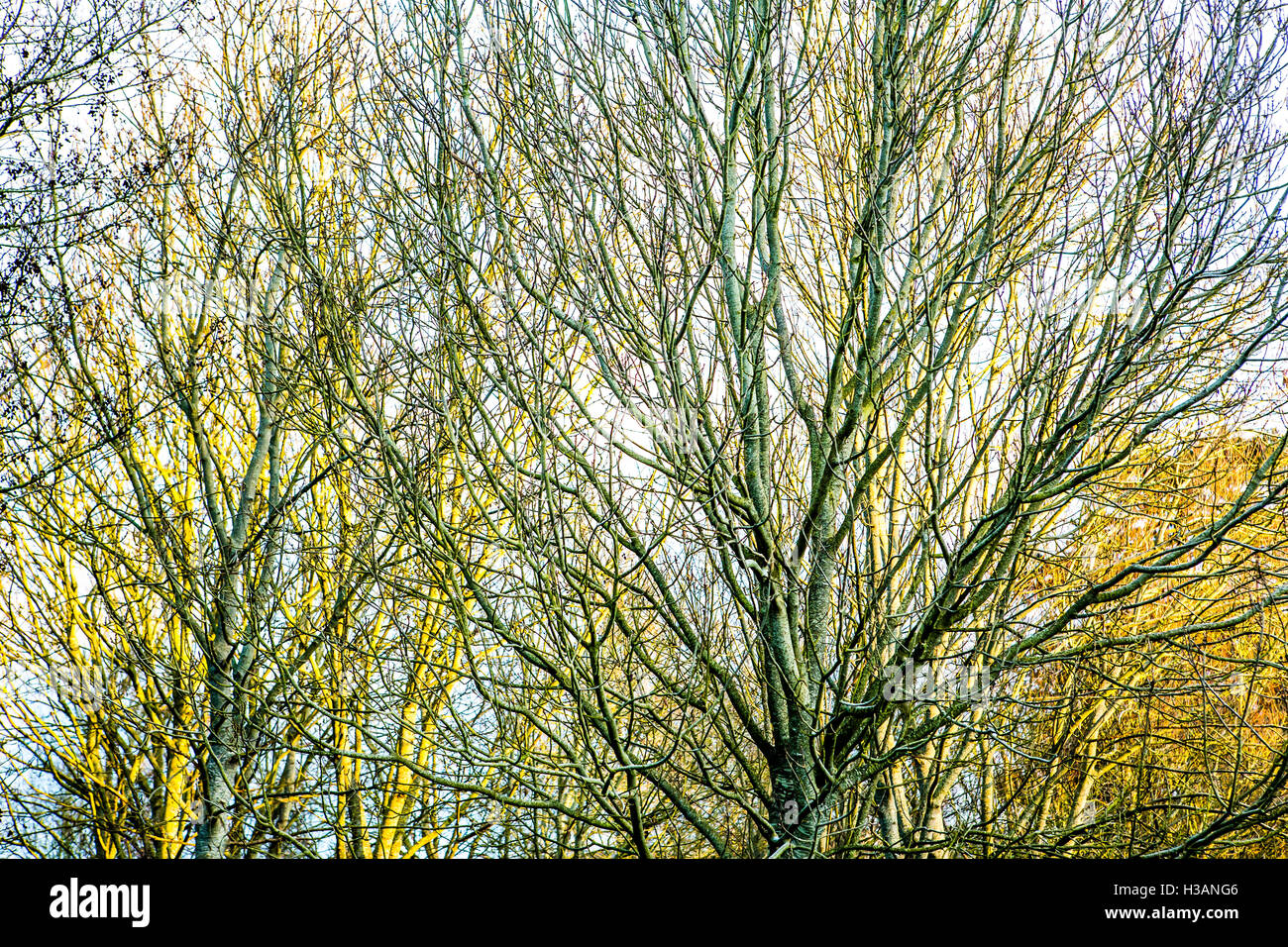 Light off windows hi-res stock photography and images - Alamy