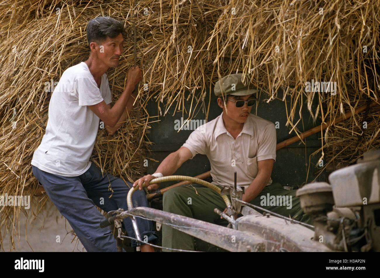 Hay cart hi-res stock photography and images - Alamy