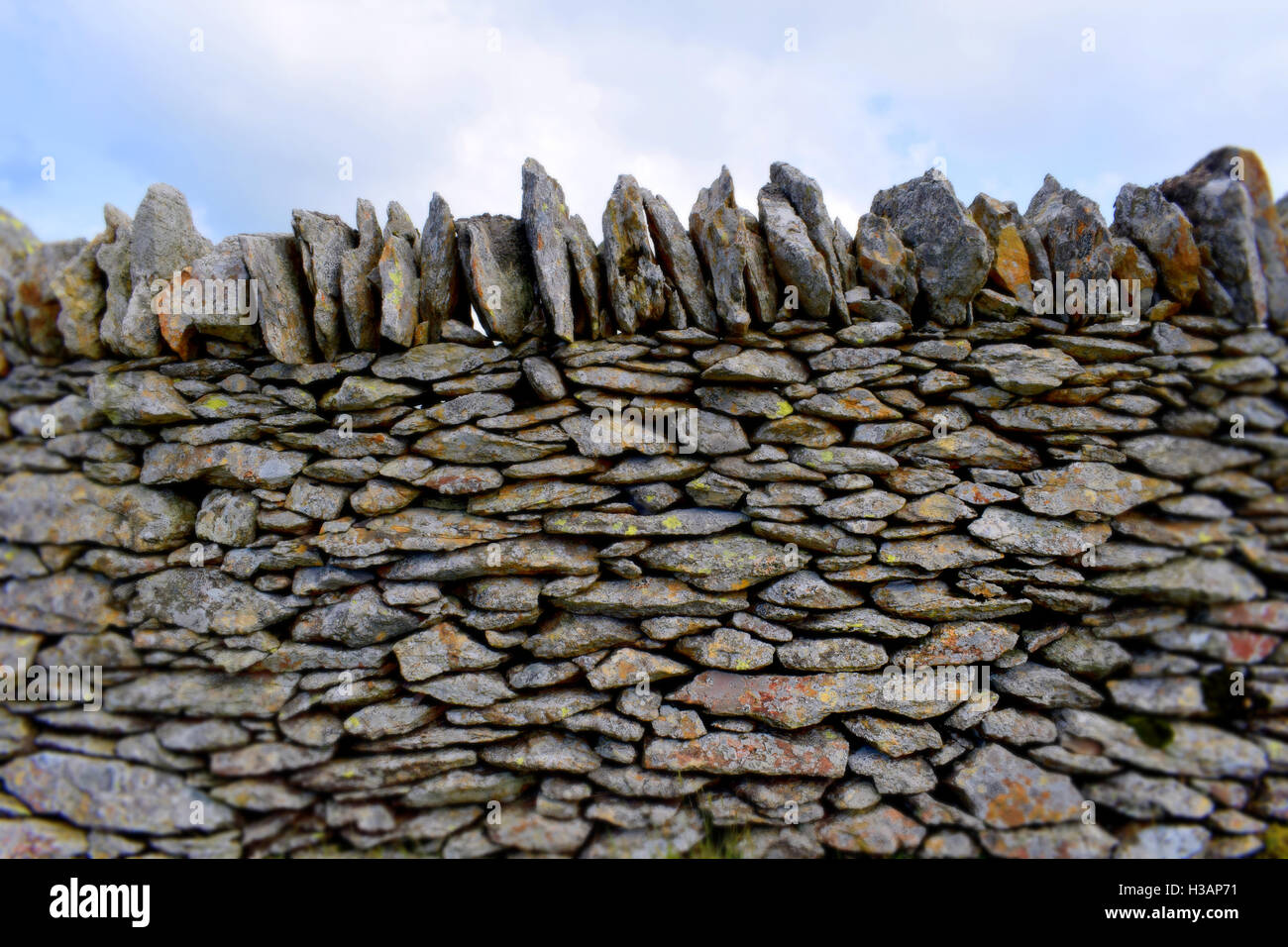 dry stone wall made from sharp slate in the countryside Stock Photo - Alamy
