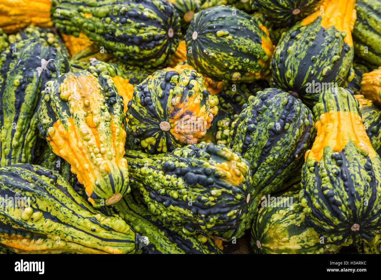 An autumn gourd display at the Pumpkin Festival in Roland, Manitoba ...