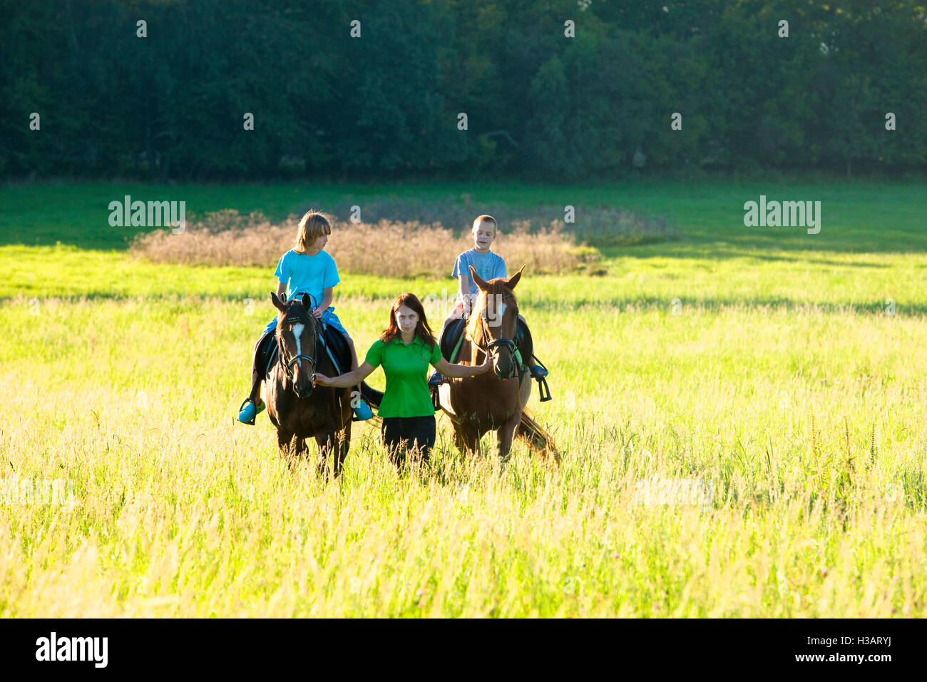 Horseback riding lessons hi-res stock photography and images - Alamy