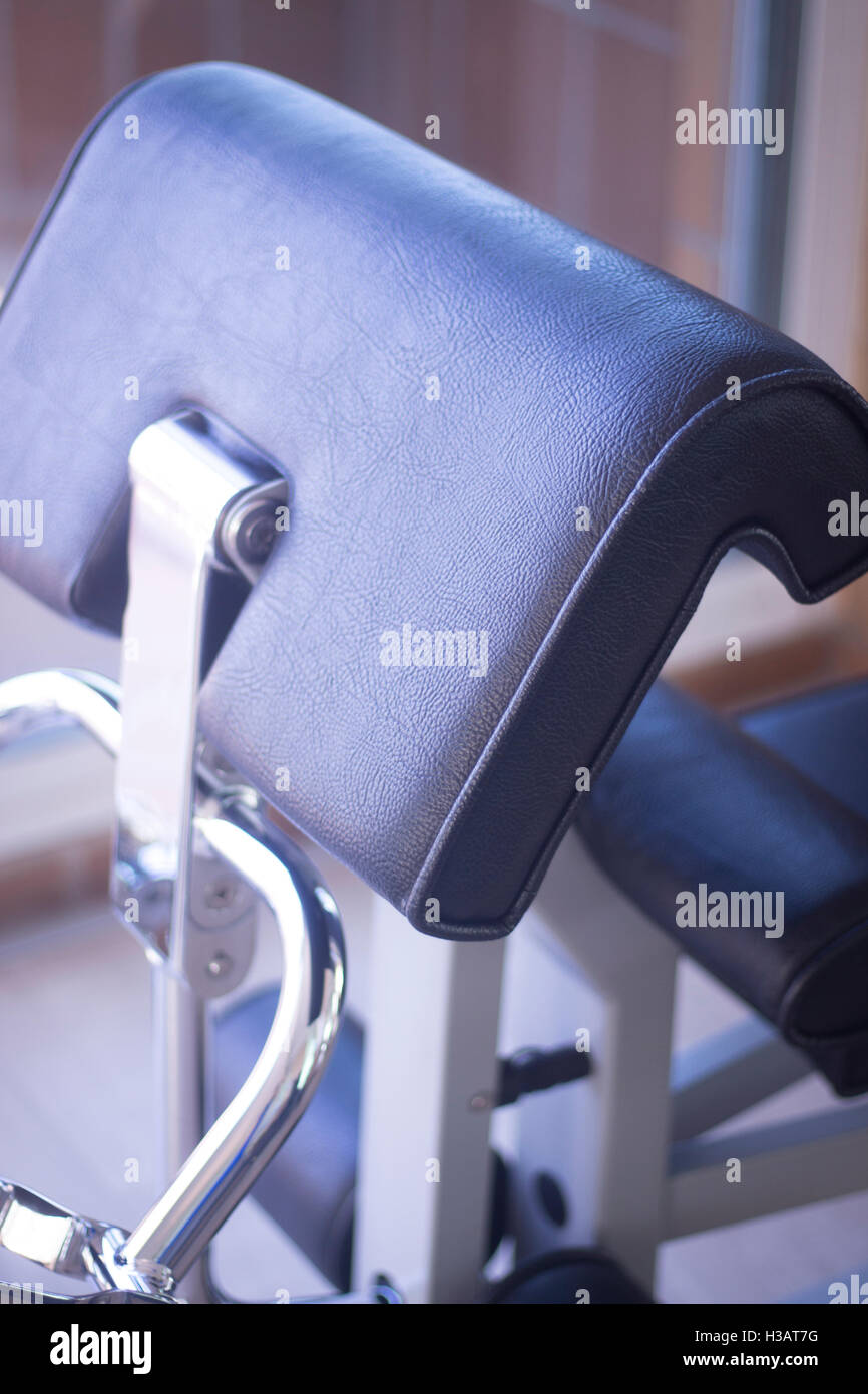 Gym exercise weight training bicep curl resistance machine in fitness ...