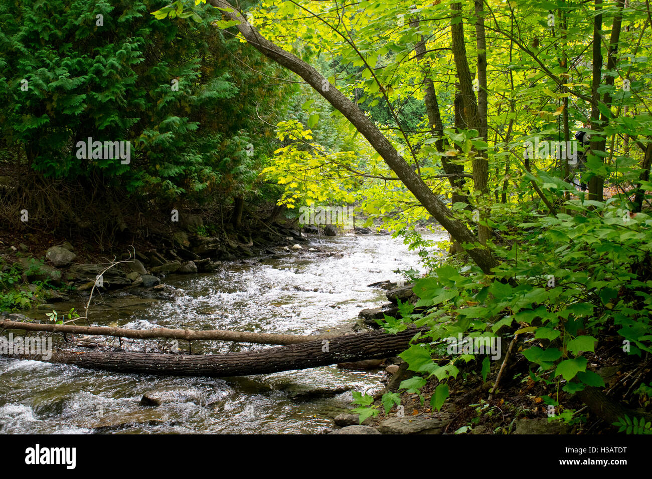 Kagawong River High Resolution Stock Photography and Images - Alamy